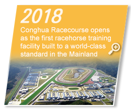 Our Milestones - History & Reports - About HKJC - The Hong Kong Jockey Club