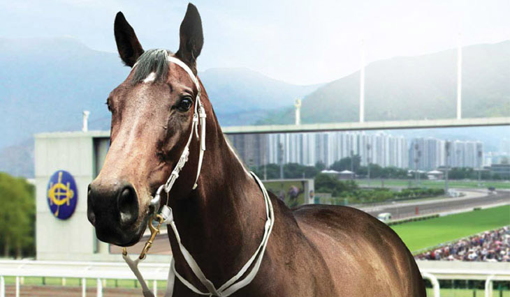 About HKJC - The Hong Kong Jockey Club
